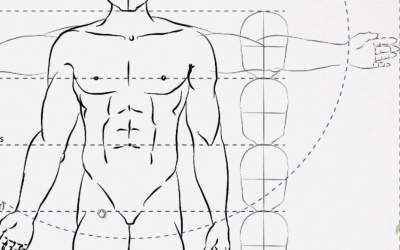 Introduction to Digital Figure Drawing - Basic Proportions: Male