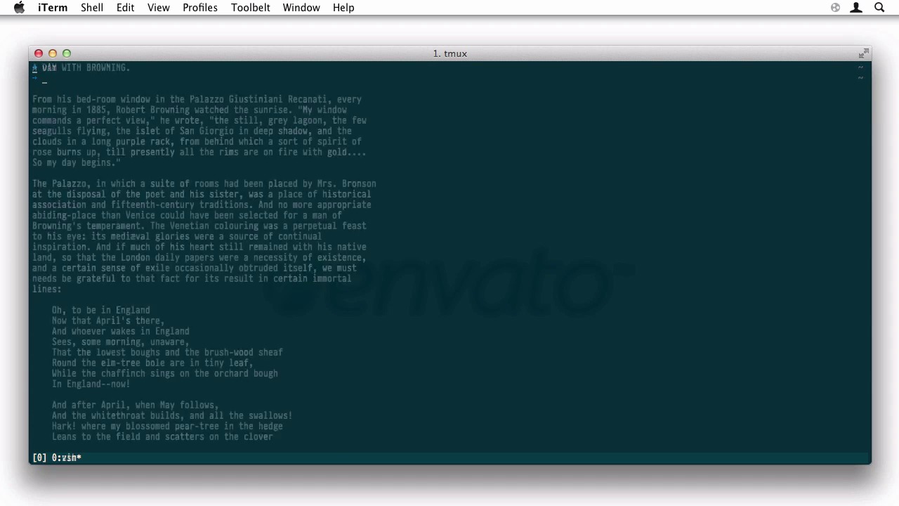 Venture Into Vim - Basic Movement
