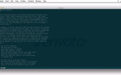Venture Into Vim - Basic Movement