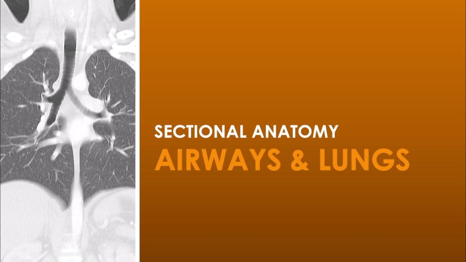 CT Airways & Lungs | Video Lesson | Clover Learning