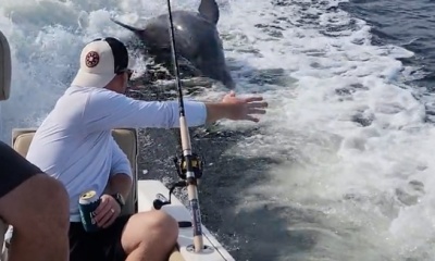 Captain Jeffrey Leonard, Holmes Beach, United States - FishingBooker