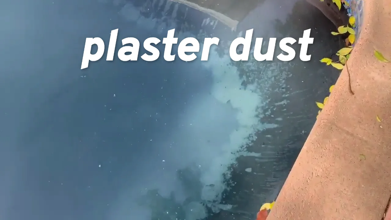 What Is The Purple Dust In My Pool