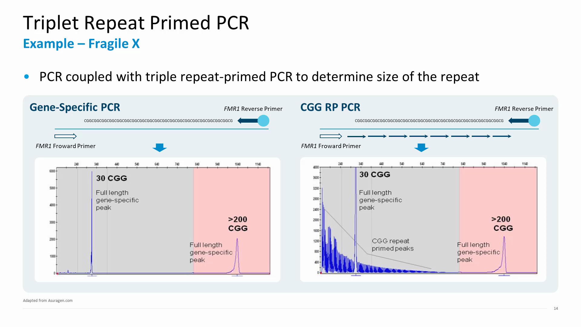 Carrier Screening for the Modern Century