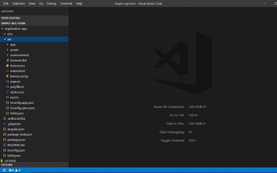 Hands-on Angular: Create a Registration Form - Set Up the Dev Environment