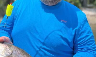 Big trout are here - Darien Fishing Report - FishingBooker