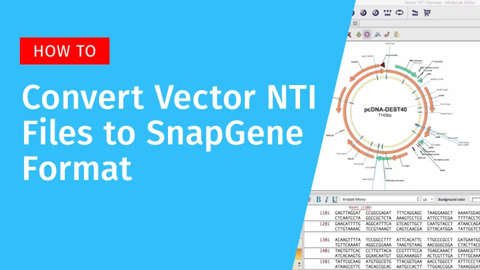 Convert Vector NTI® files to SnapGene .dna format - Snapgene