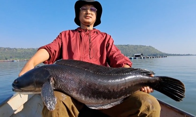 2 days Wild Snakehead fishing Thailand t - Bangkok Fishing Report ...