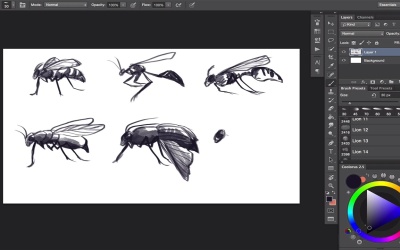 Mastering Animal Anatomy in Digital Painting - Insect Concept Prompt