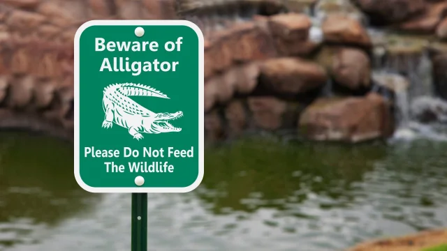 Alligator Warning Signs | Beware of Alligator Signs