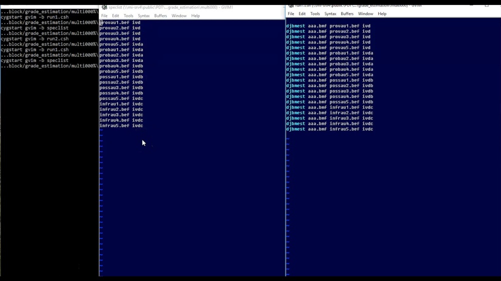 Maptek - Vulcan multi-ID grade estimation