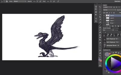 Mastering Animal Anatomy in Digital Painting - Bird Concept Prompt