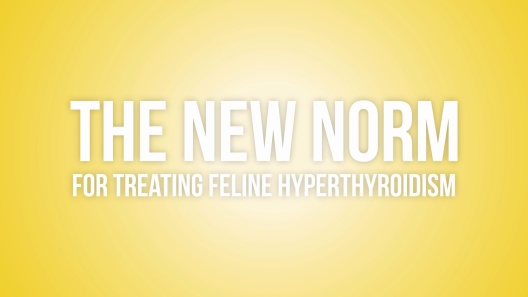 FELANORM (Methimazole) Oral Solution for Cats, 5 mg/mL, 100 mL - Easy ...