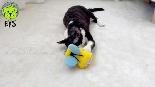 EYS GiGwi Dance & Chirp Bee Catnip Infused Motion-Activated Cat Toy, Yellow - Chewy.com