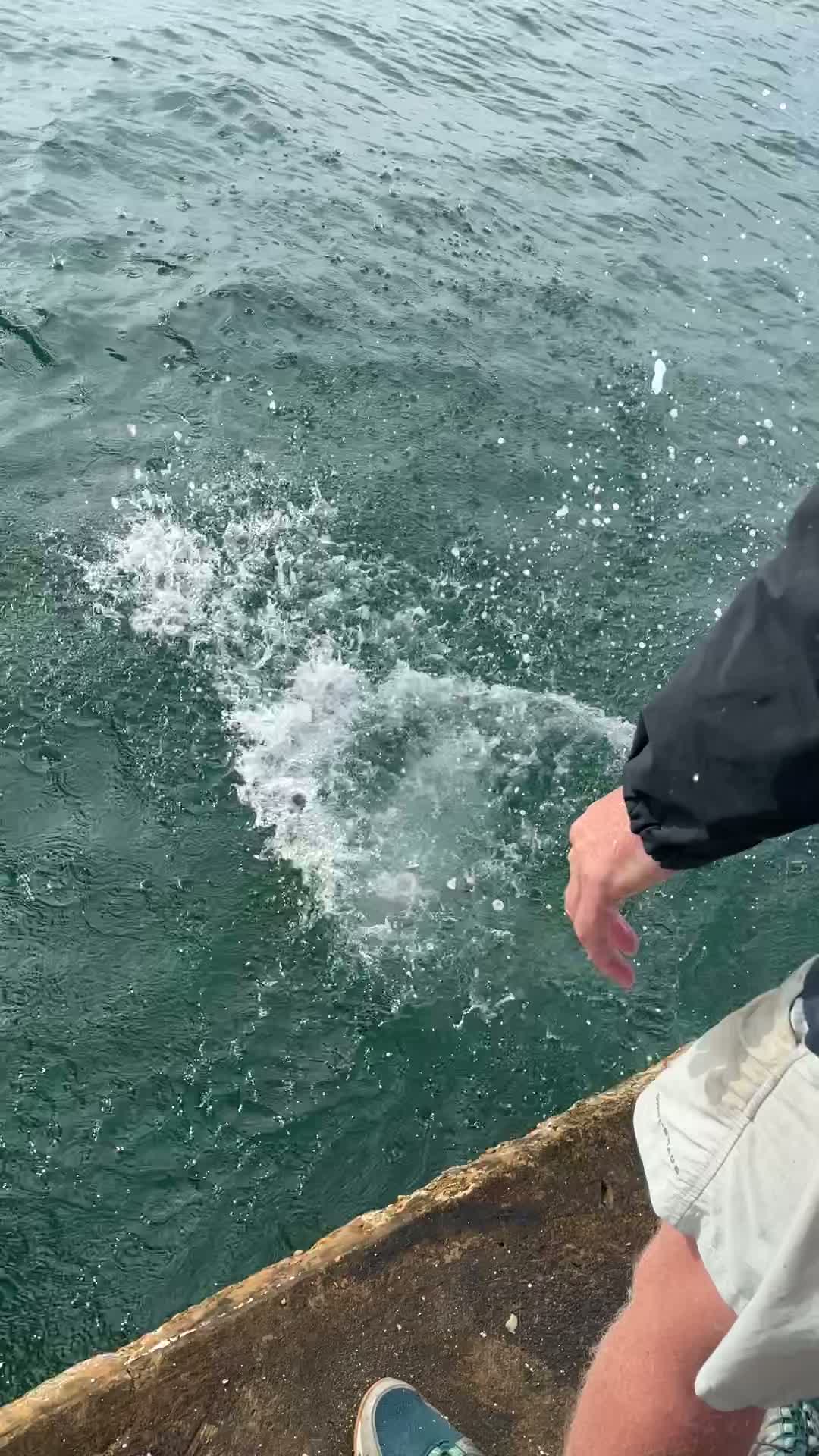 850 Charters—Capt. Jared (Destin) - Updated 2023 Prices - FishingBooker