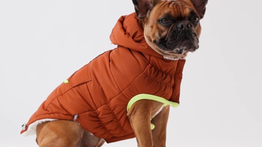 Discontinued - GF PET Super Puff Insulated Dog Parka, Hazel, Large ...