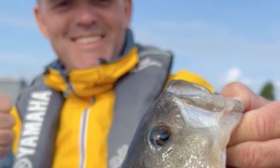 Yellow Perch VS European Perch - Amsterdam Fishing Report - FishingBooker