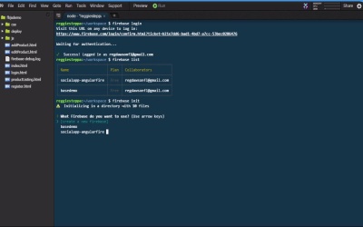 Use Firebase as the Back-End - Firebase Hosting