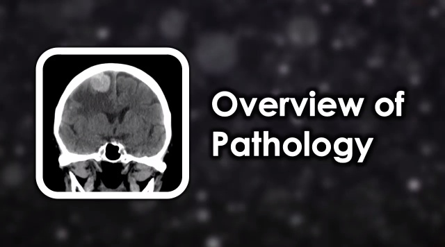 Overview of Pathology | Video Lesson | Clover Learning