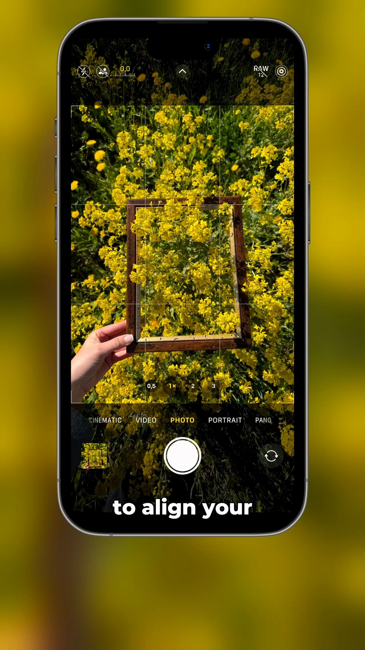 iPhone Photography School Online Courses