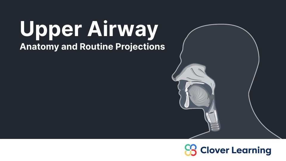Upper Airway: Anatomy & Routine Projections | Video Lesson | Clover ...
