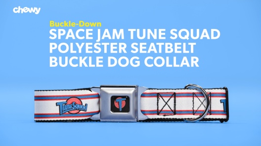 BUCKLE-DOWN Space Jam Tune Squad Polyester Seatbelt Buckle Dog Collar ...