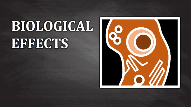 CT Safety: Biological Effects | Video Lesson | Clover Learning