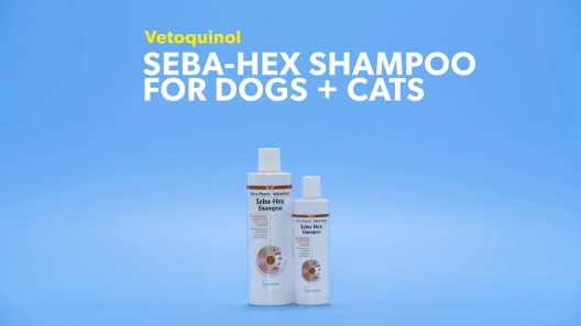 Discontinued - VETOQUINOL Seba-Hex Shampoo for Dogs & Cats, 16-oz ...
