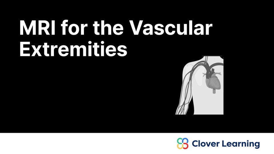MRI Vascular Extremities (Anatomy) | Video Lesson | Clover Learning