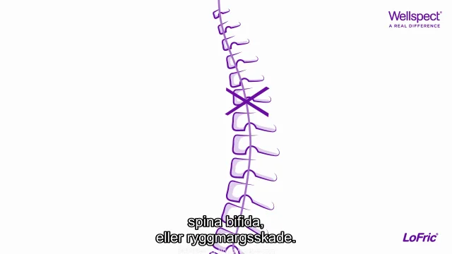 Instruksjonsfilm - Wellspect