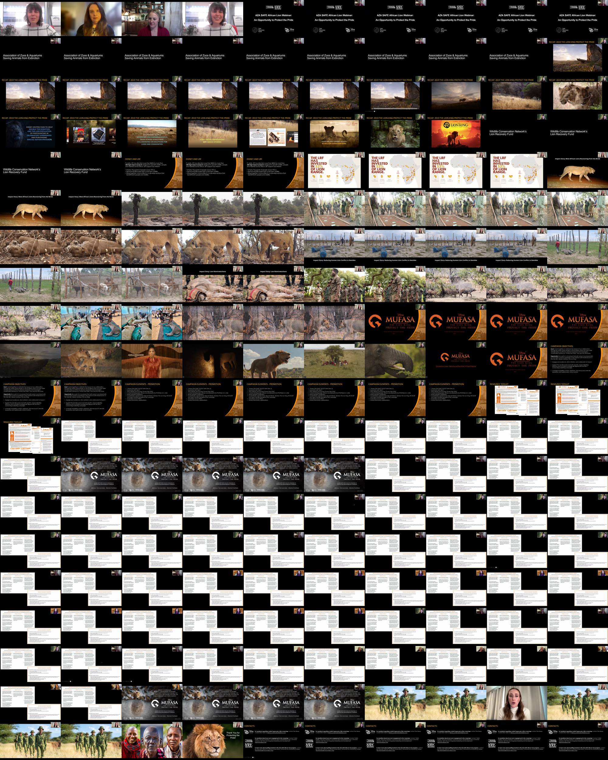 AZA SAFE African Lion Webinar: An Opportunity to Protect the Pride with ...