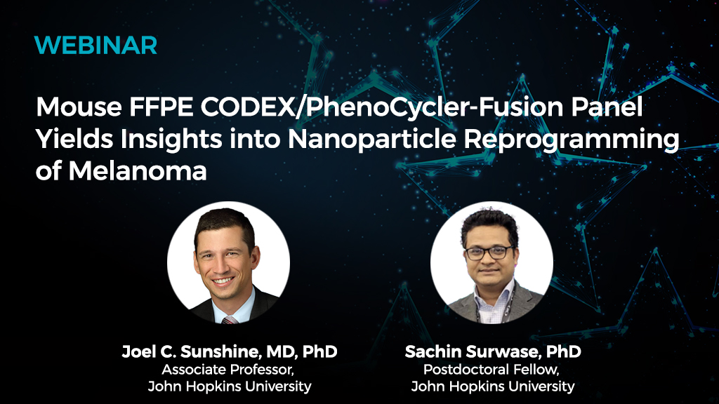 Mouse FFPE PhenoCycler-Fusion Panel Yields Insights into Nanoparticle ...