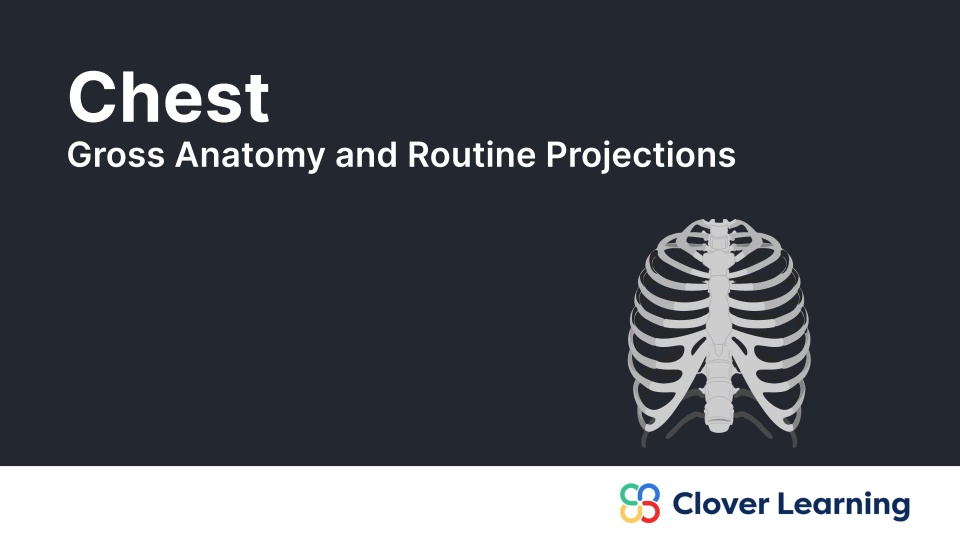 Chest: Anatomy & Routine Projections | Video Lesson | Clover Learning