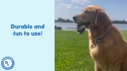 SWEET PAWS Chunky Wearable Puppy Teether Stack Dog Toy, 2 count, K-9 ...