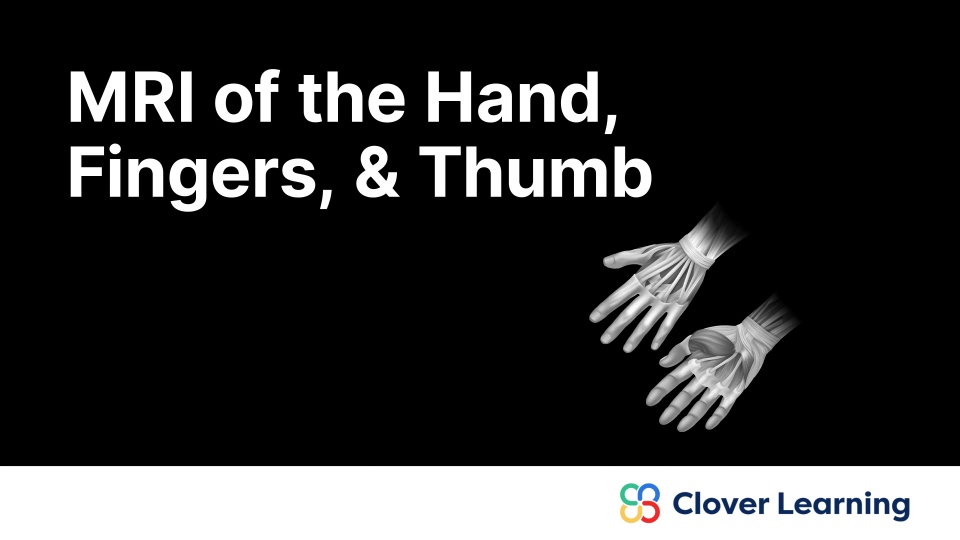 MRI Hand, Fingers & Thumb (Anatomy) | Video Lesson | Clover Learning