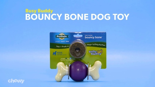 PETSAFE Busy Buddy Bouncy Bone Treat Dispenser Tough Dog Chew Toy ...