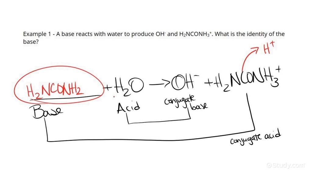 How to Identify Bases by Their Reaction with Water | Chemistry | Study.com