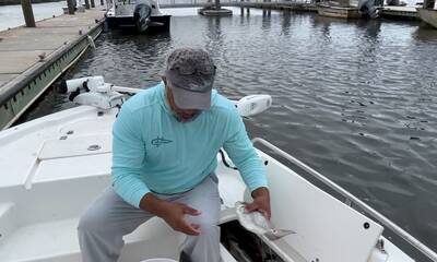 What an epic day. - Darien Fishing Report - FishingBooker