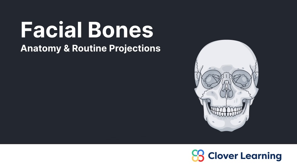 Facial Bones: Anatomy & Routine Projections | Video Lesson | Clover ...