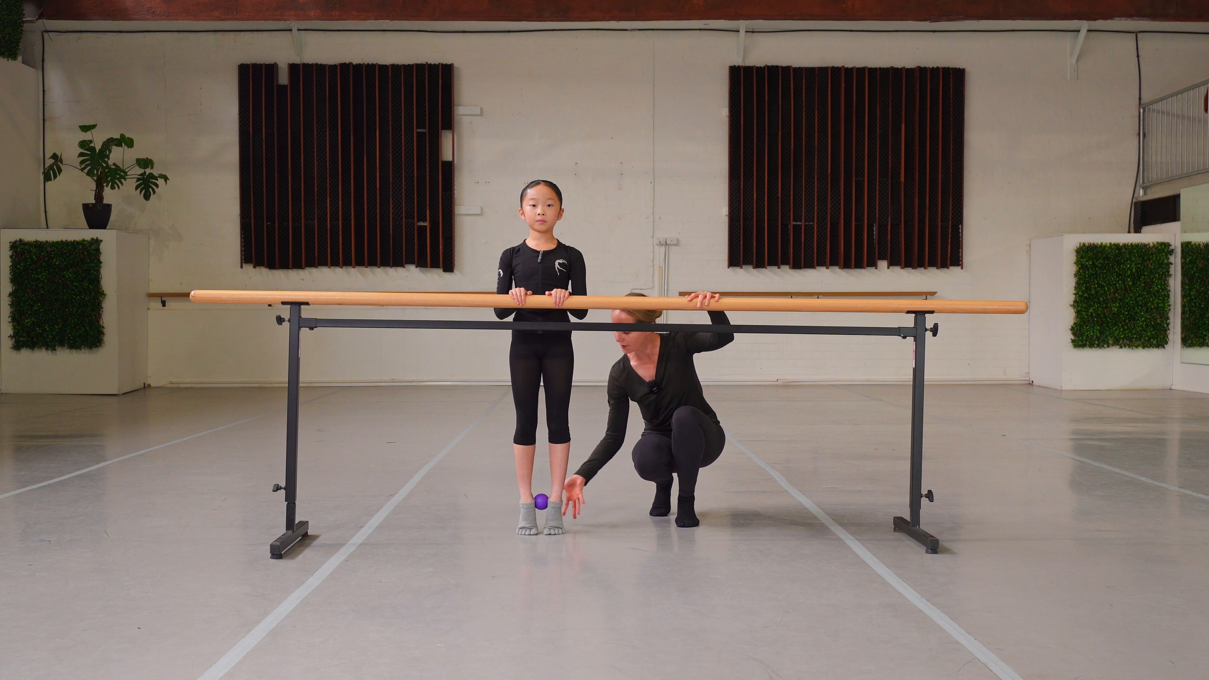 Progressing Ballet Technique (PBT)