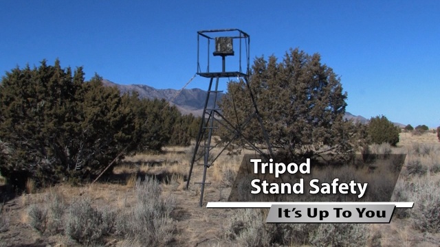 Treestand Safety