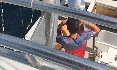 Fresh Albemarle Sound Fishing Reports (July 2022)