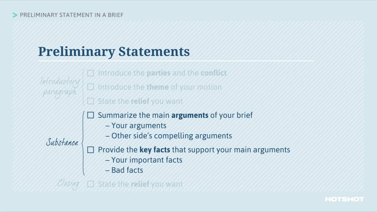 Preliminary Statement in a Brief - Motion Practice