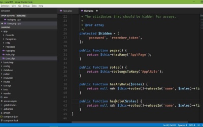 Build a CMS With Laravel - Setting Up Security