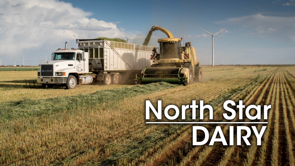 FarmFLiX | Agricultural Video Platform