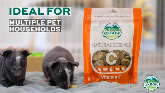 OXBOW Natural Science Vitamin C Support Small-Pet Supplement, 8.4-oz ...
