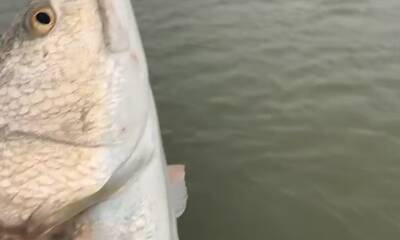 FISHING IS GREAT!! - Palacios Fishing Report - FishingBooker