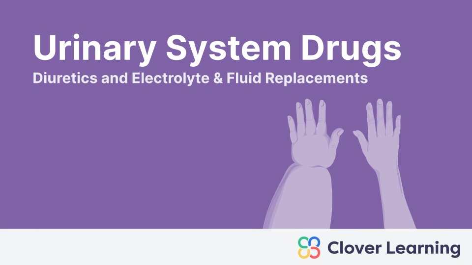Urinary System Drugs: Diuretics and Electrolyte and Fluid Replacements ...