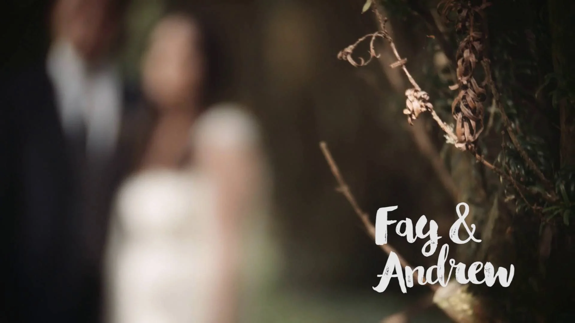 Andrew Fay Wedding