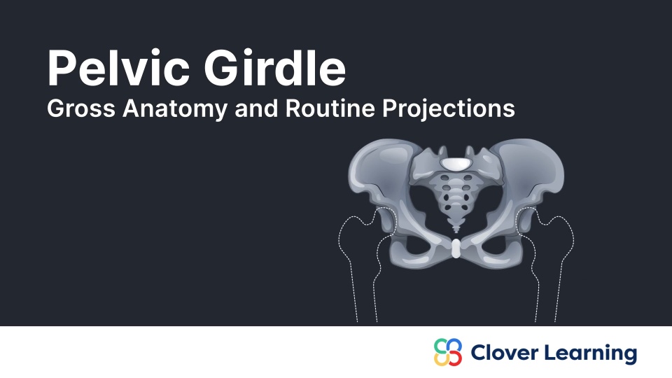 Pelvic Girdle: Anatomy & Routine Projections | Video Lesson | Clover ...