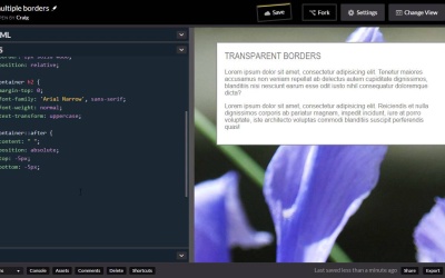 8 CSS Tricks You Never Use - Multiple Borders